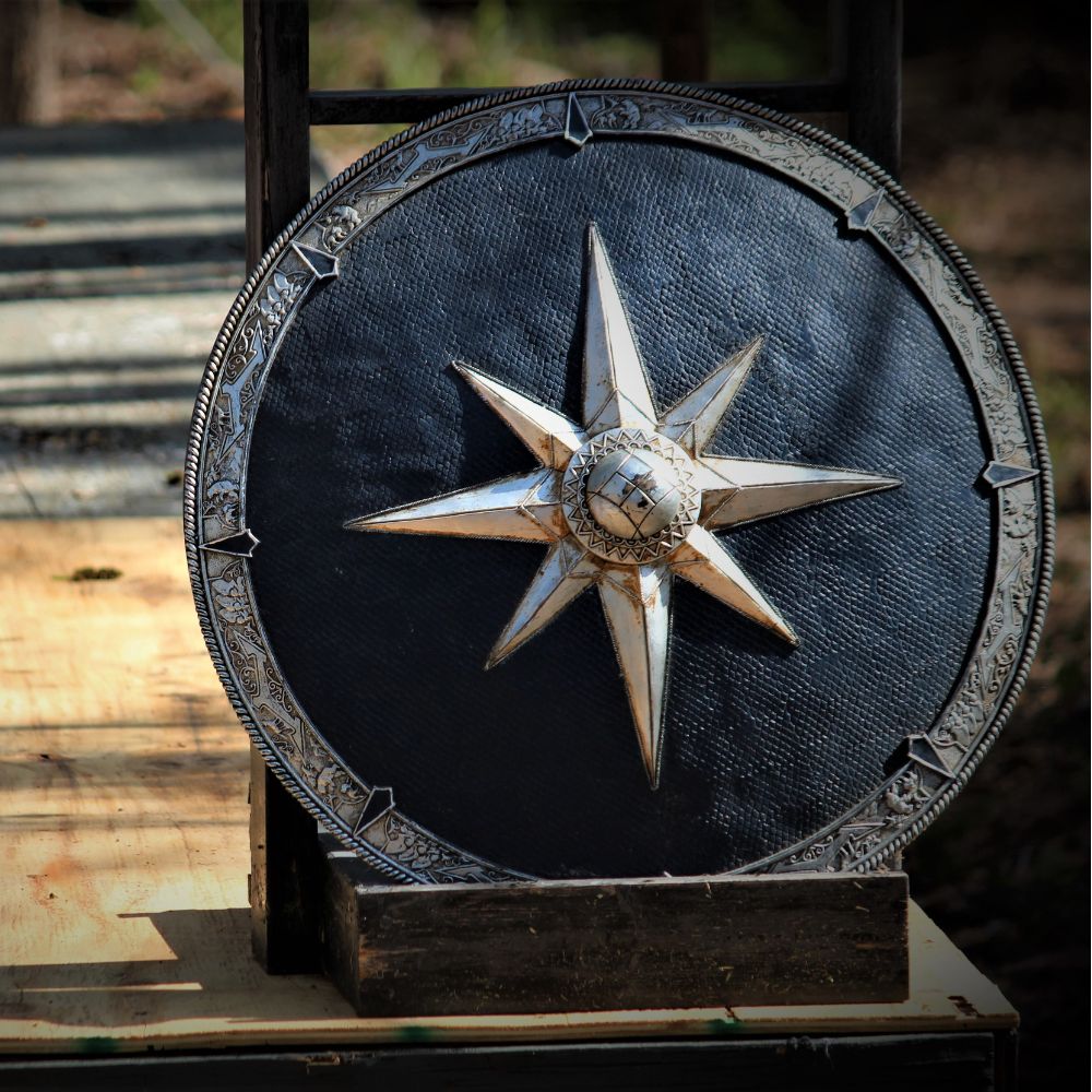 Ancient Viking Shields